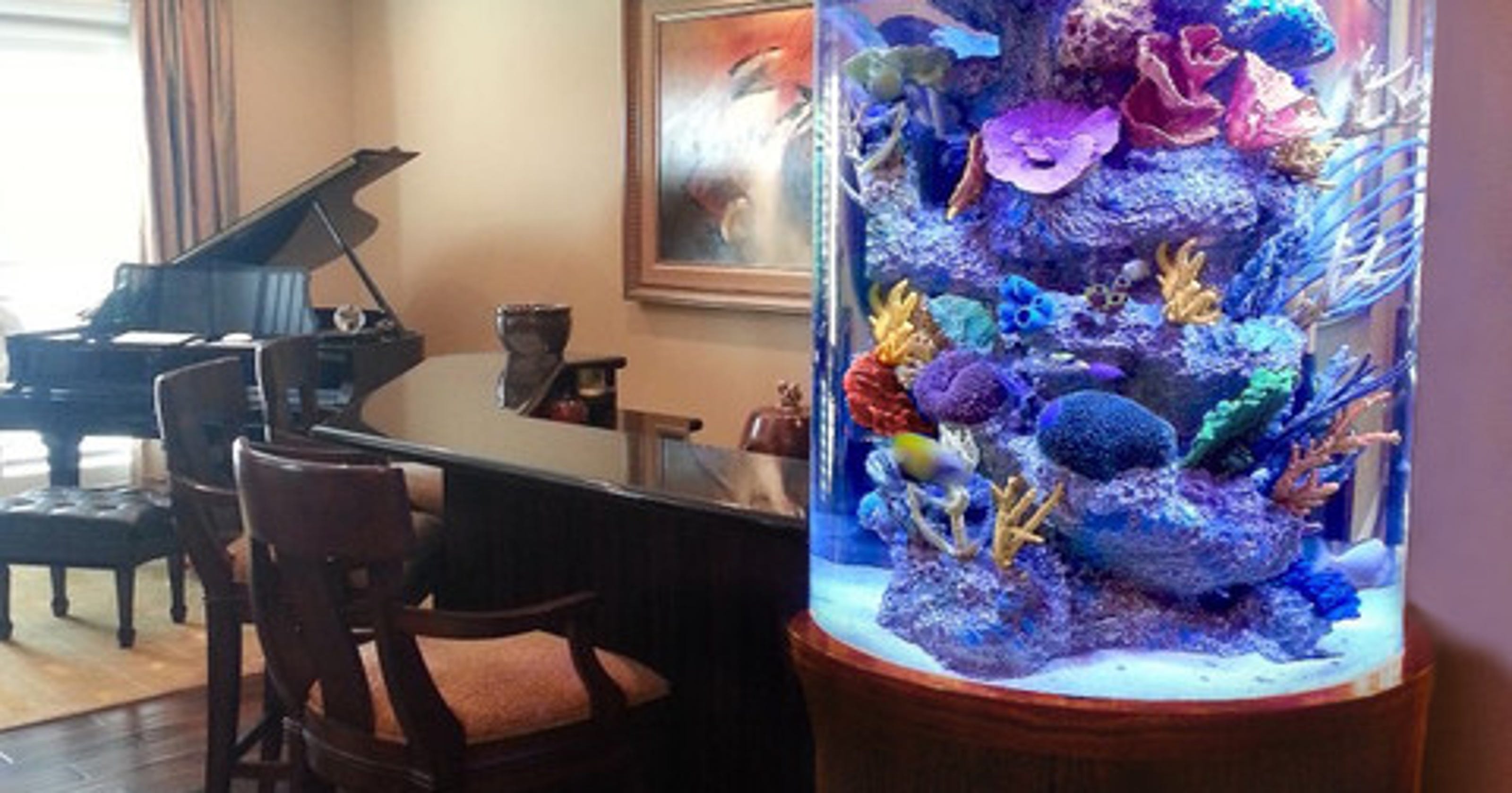 Achieve 'aquazen' with in-home aquariums