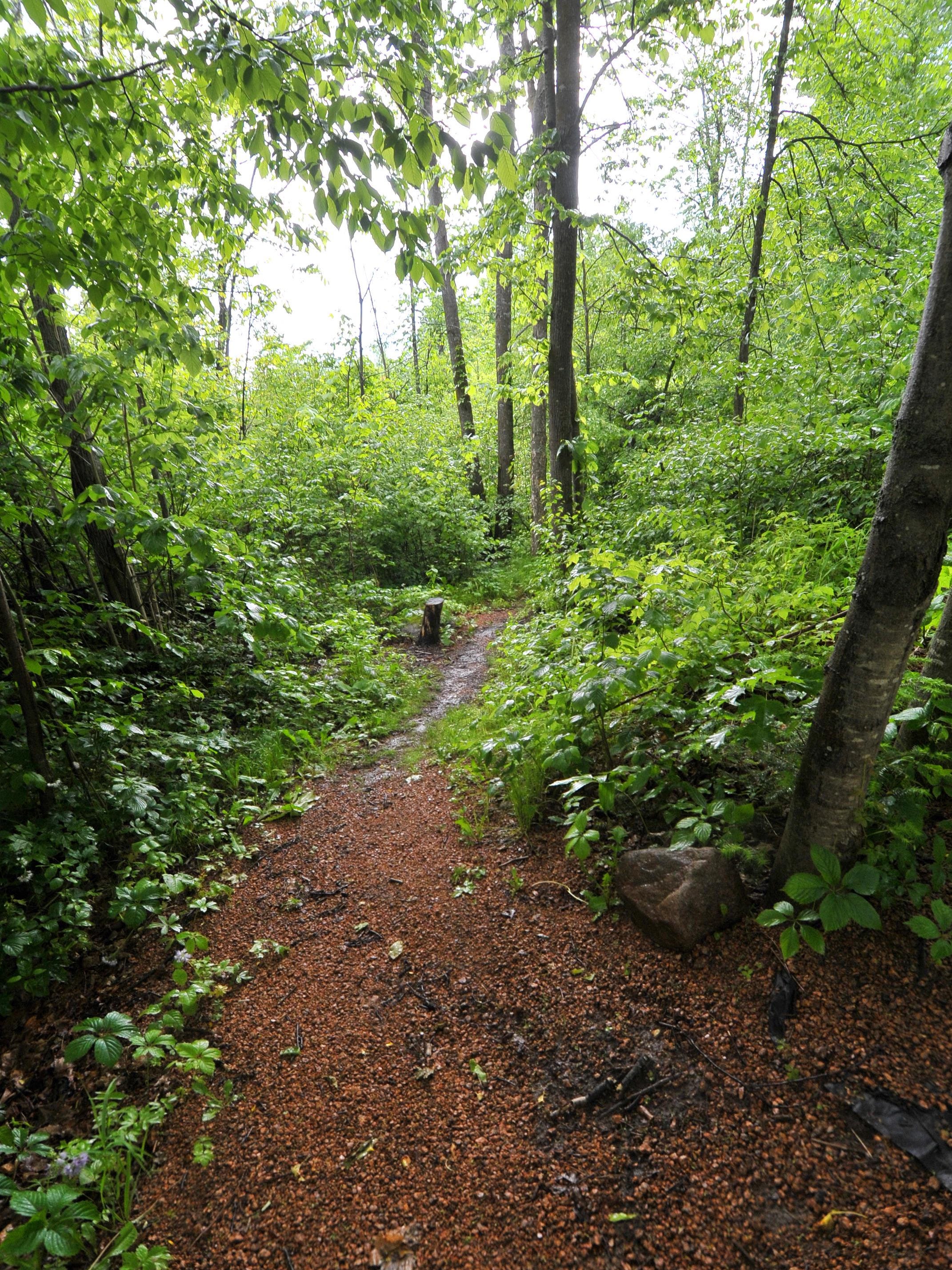 Ice Age Trail has 'everything you need to see'