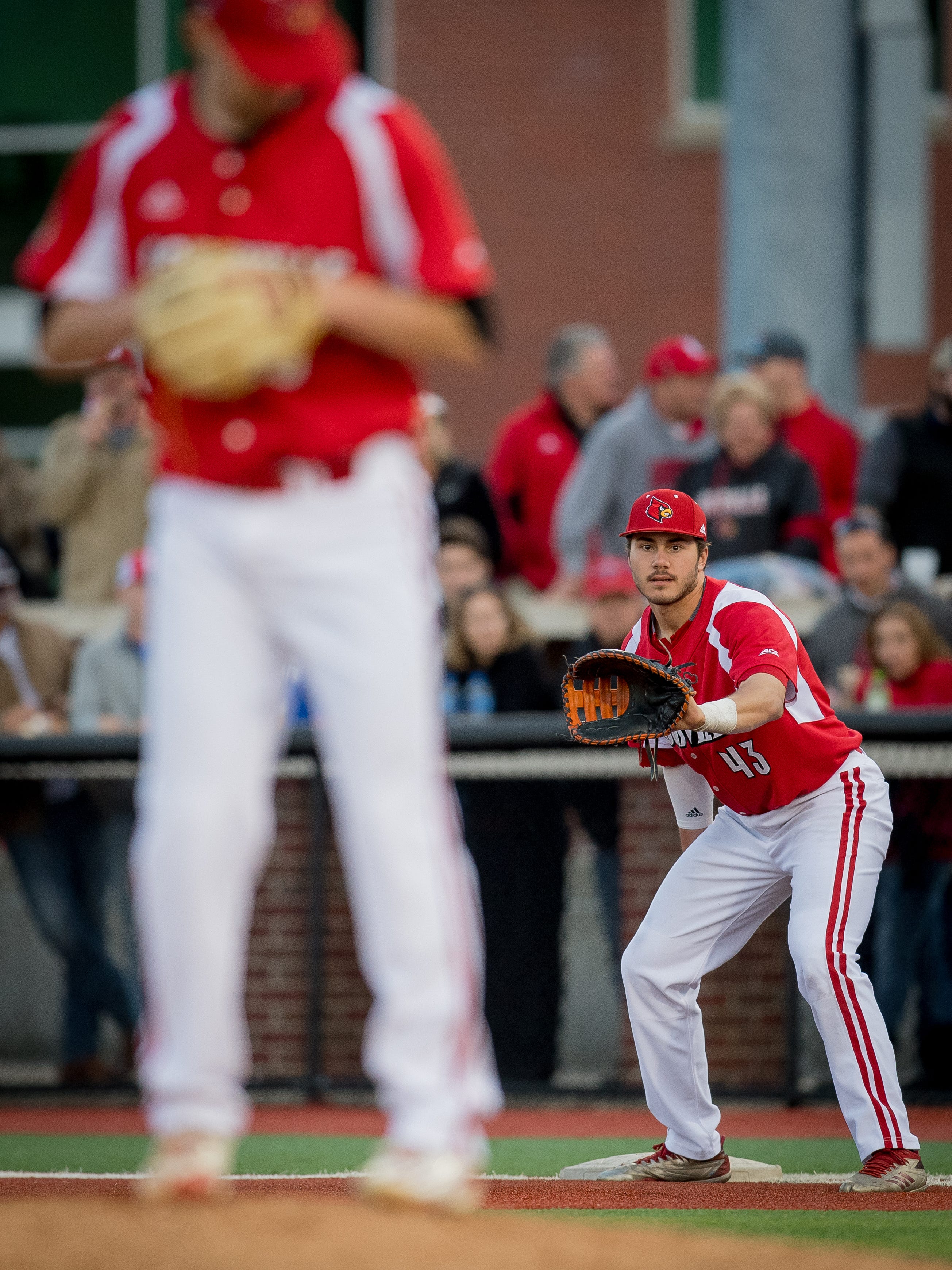 Louisville baseball's Logan Wyatt is 'ultimate teammate' on the rise