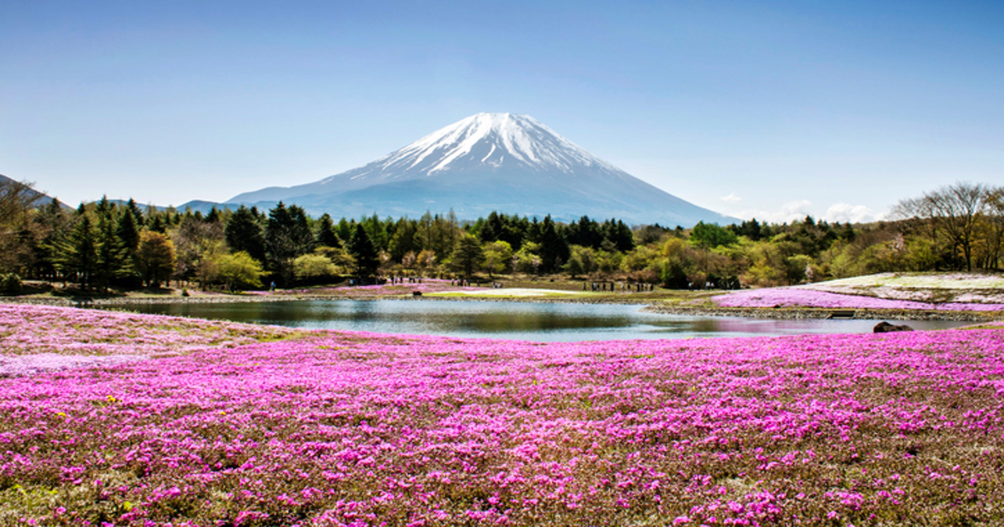 Deal watch: Six nights in Japan for $1,499