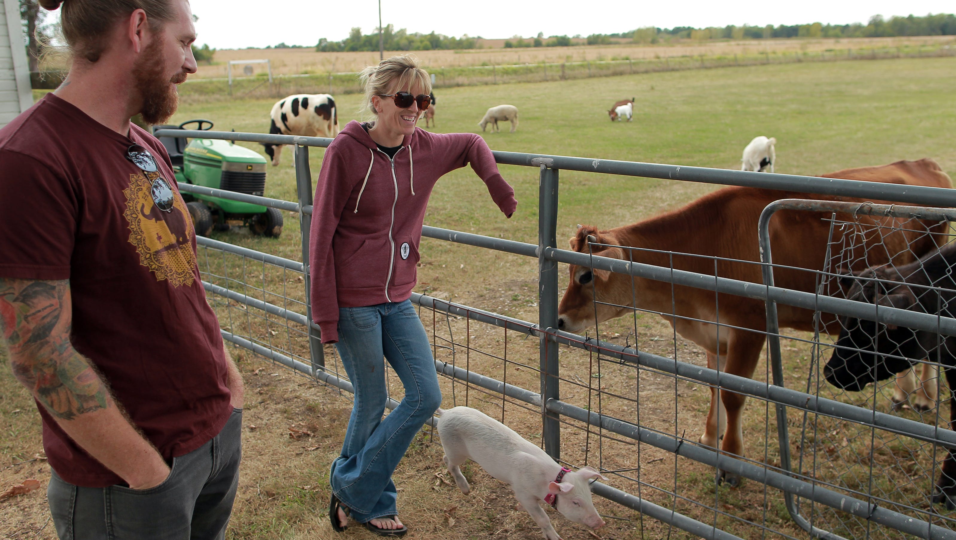 Farm sanctuary gives pigs and cows a second chance