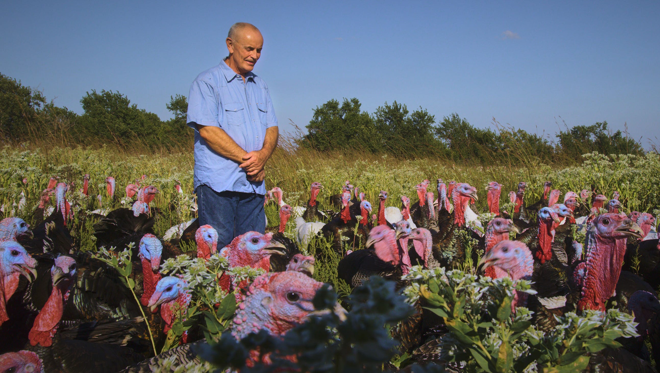 ‘Eating Animals’ documentary bites into meat industry