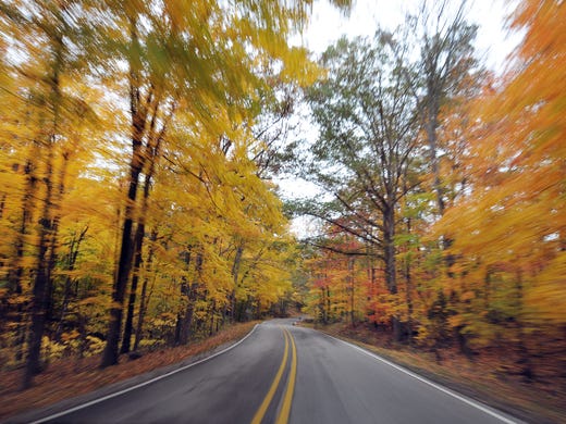 Things to do in Indianapolis: Best fall events, festivals, concerts