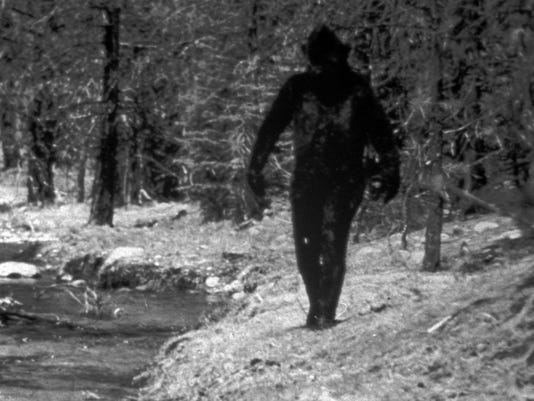 Bigfoot claims stepped on by new hair analysis