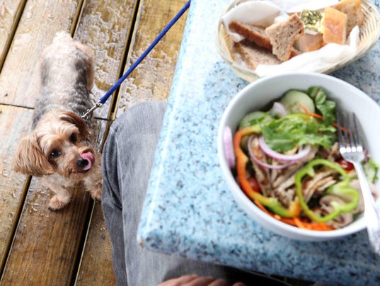 Restaurants where you can dine out with your dog