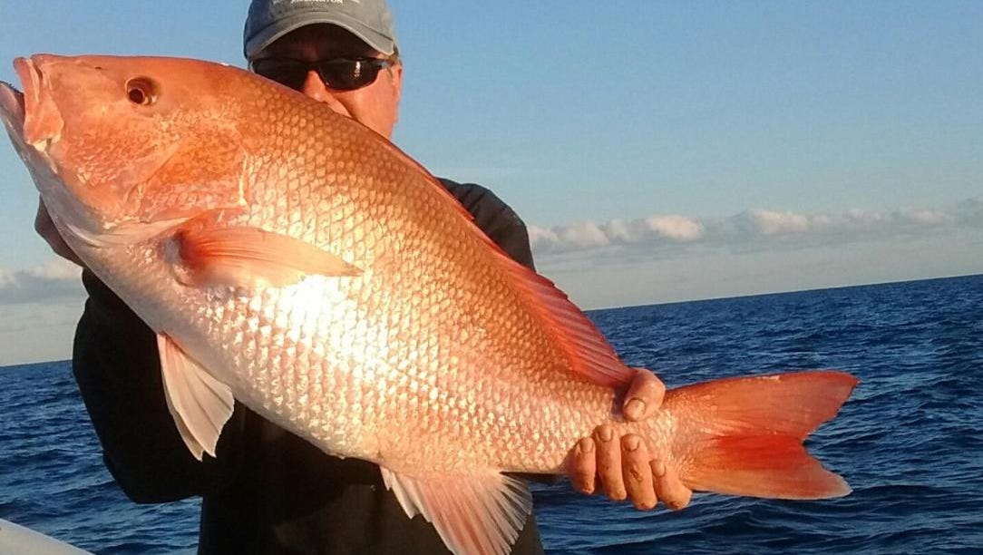 Red snapper mini-season gets another weekend in December