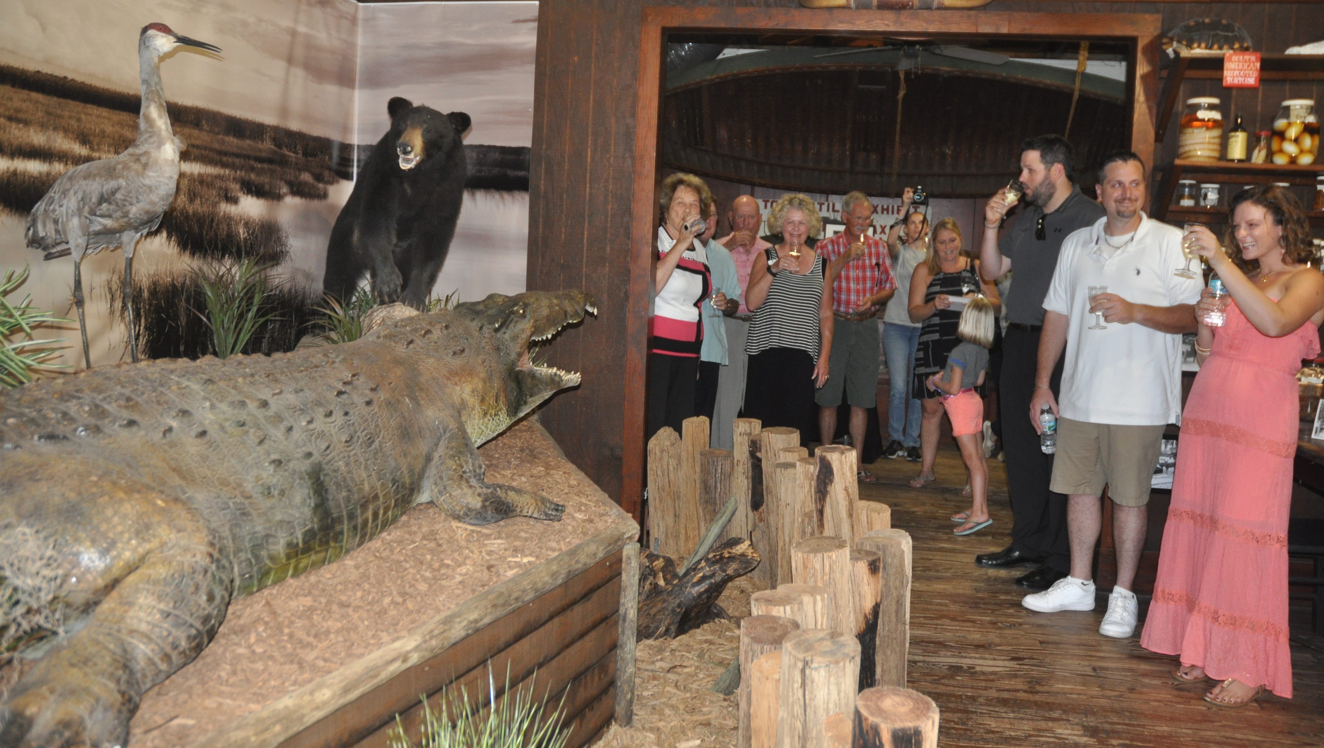 Big Joe, the giant crocodile, returns to Wonder Gardens