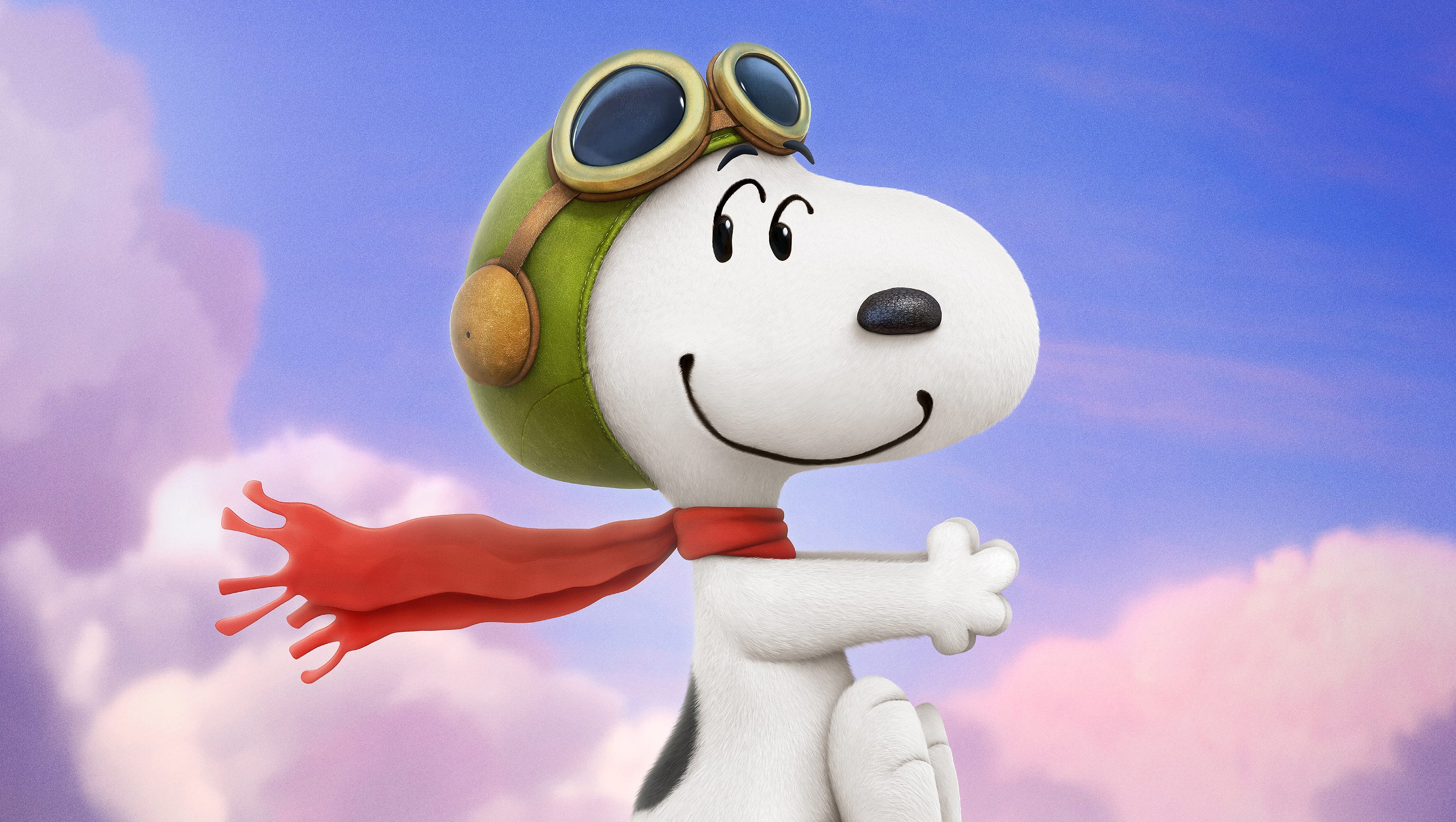 Meet Bayley, the mini sheepadoodle who looks like a real-life version ...