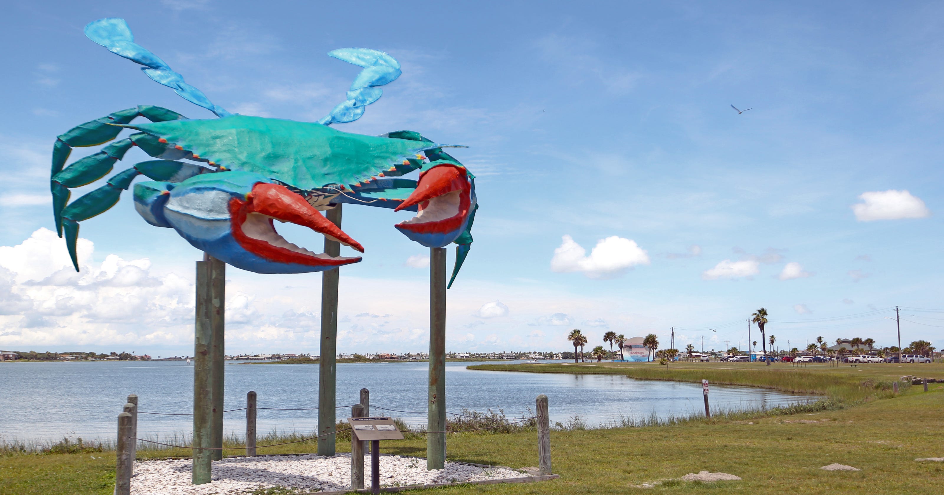 Here's how you can help Rockport bring back the Big Blue Crab
