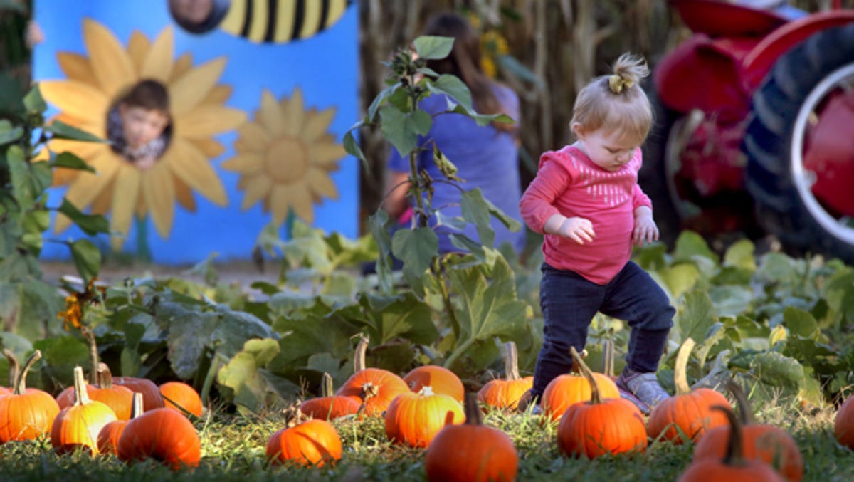 Fall into fun things to do