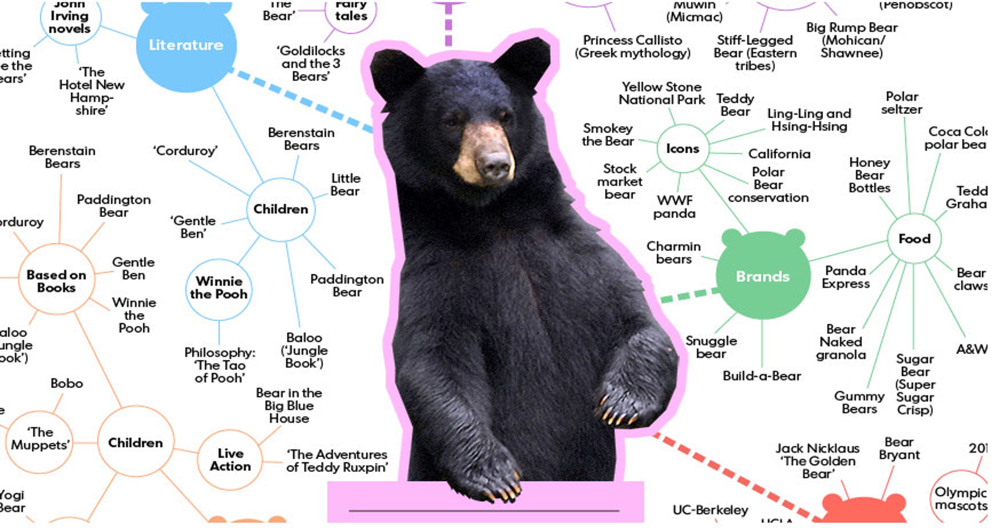 Chart: Browse the 129 beloved bears of pop culture