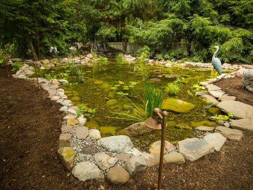 These backyards have resort-quality space