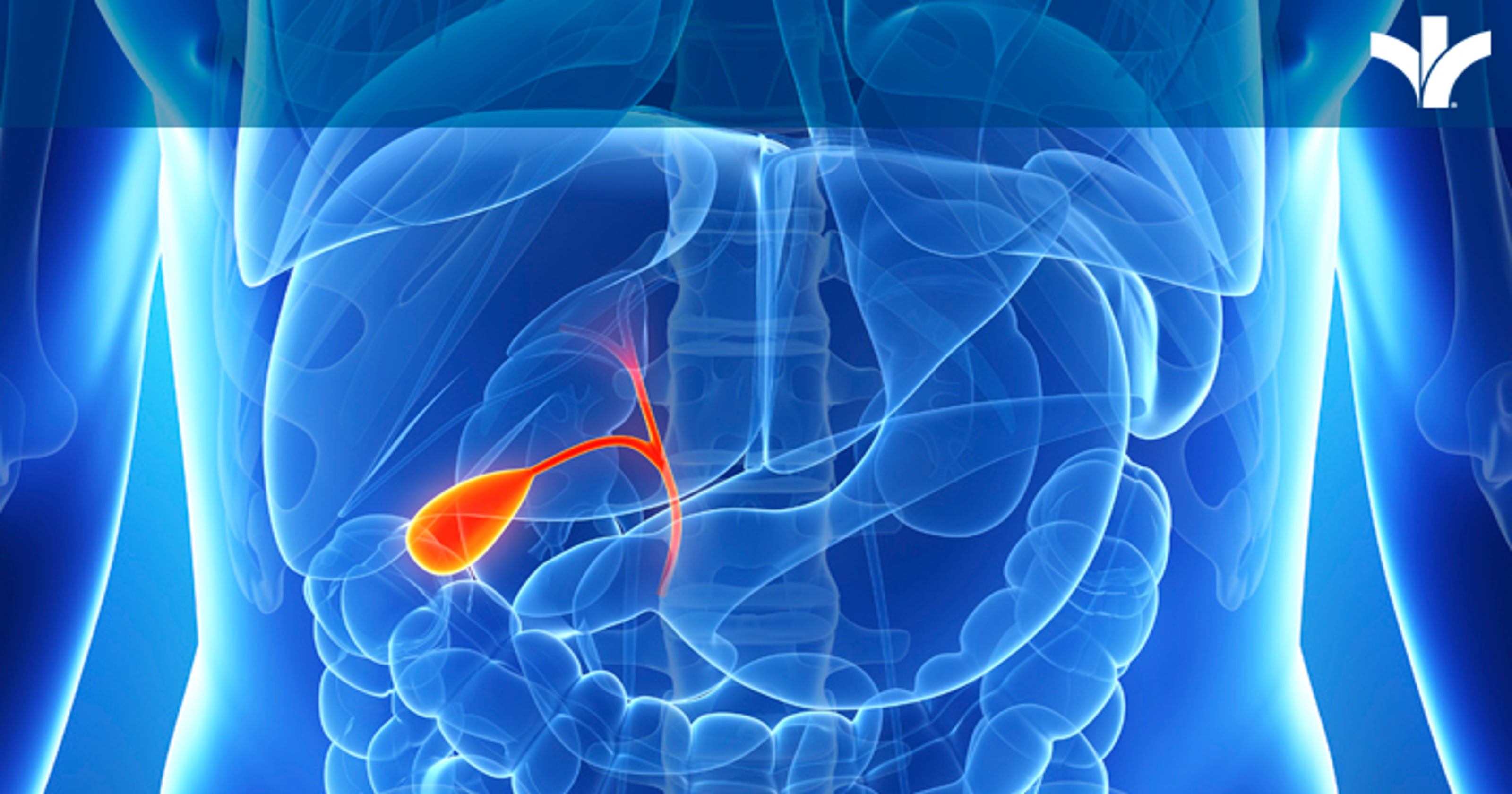 Gallbladder: A Little Organ that Can Cause Huge Pain