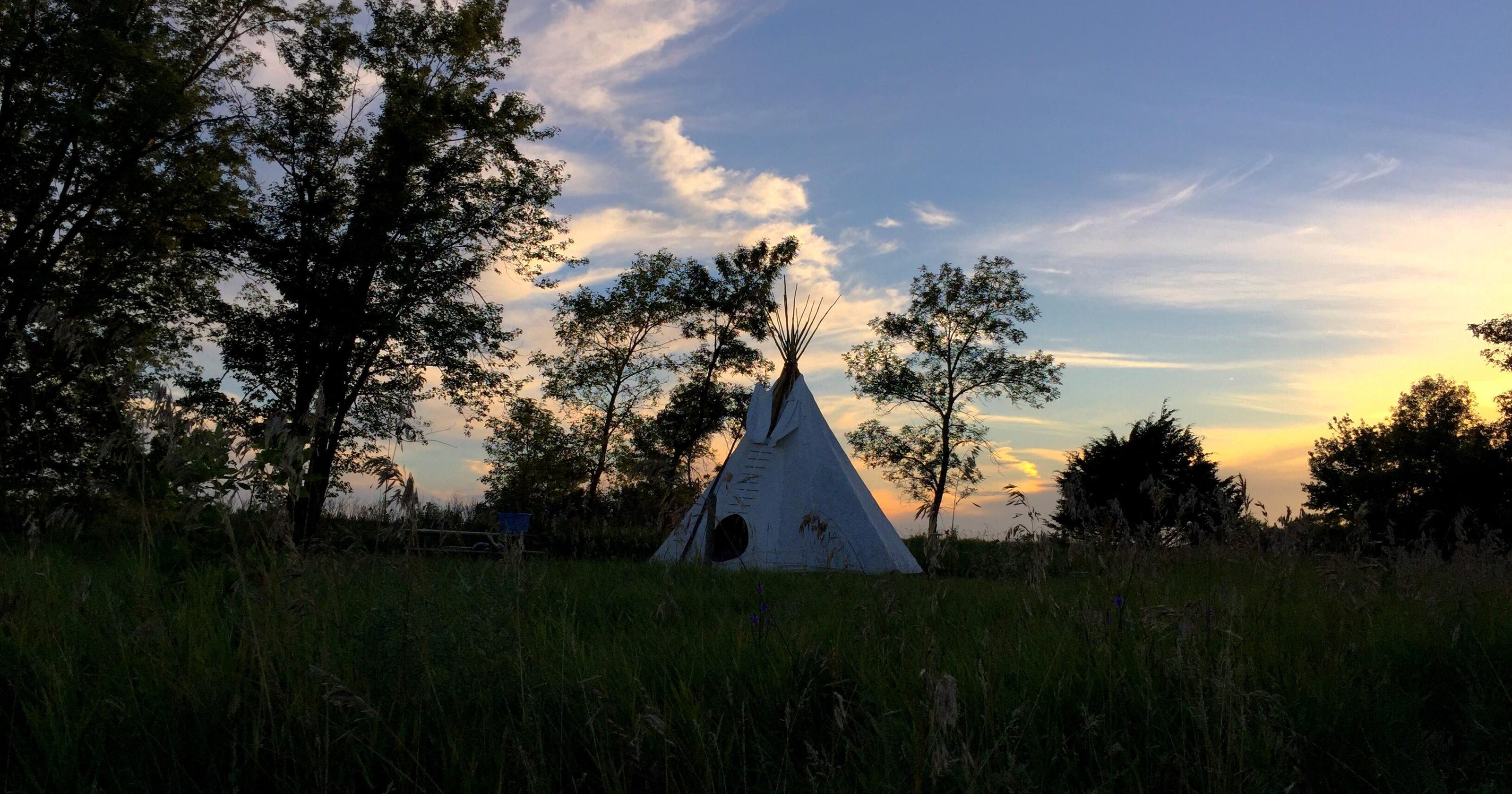 Where the buffalo roam