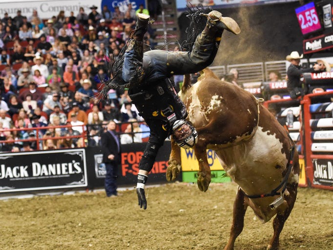 pbr: 2015