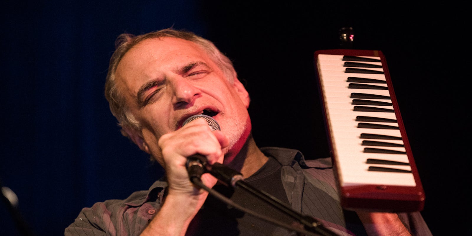 Steely Dan's Donald Fagen talks Bard College, The Falcon and more