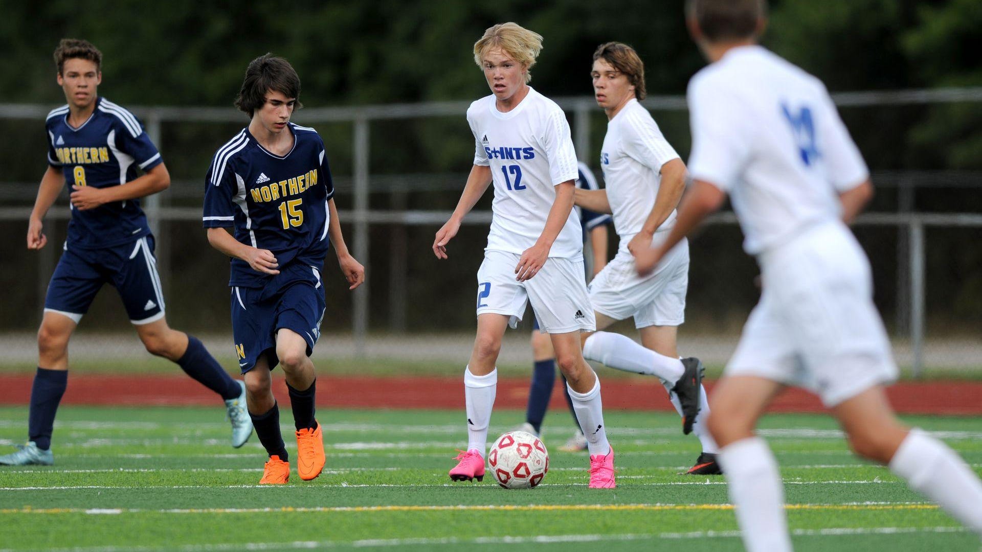 CAPSULE LOOK AT THE 2015 BLUE WATER AREA BOYS SOCCER TEAMS