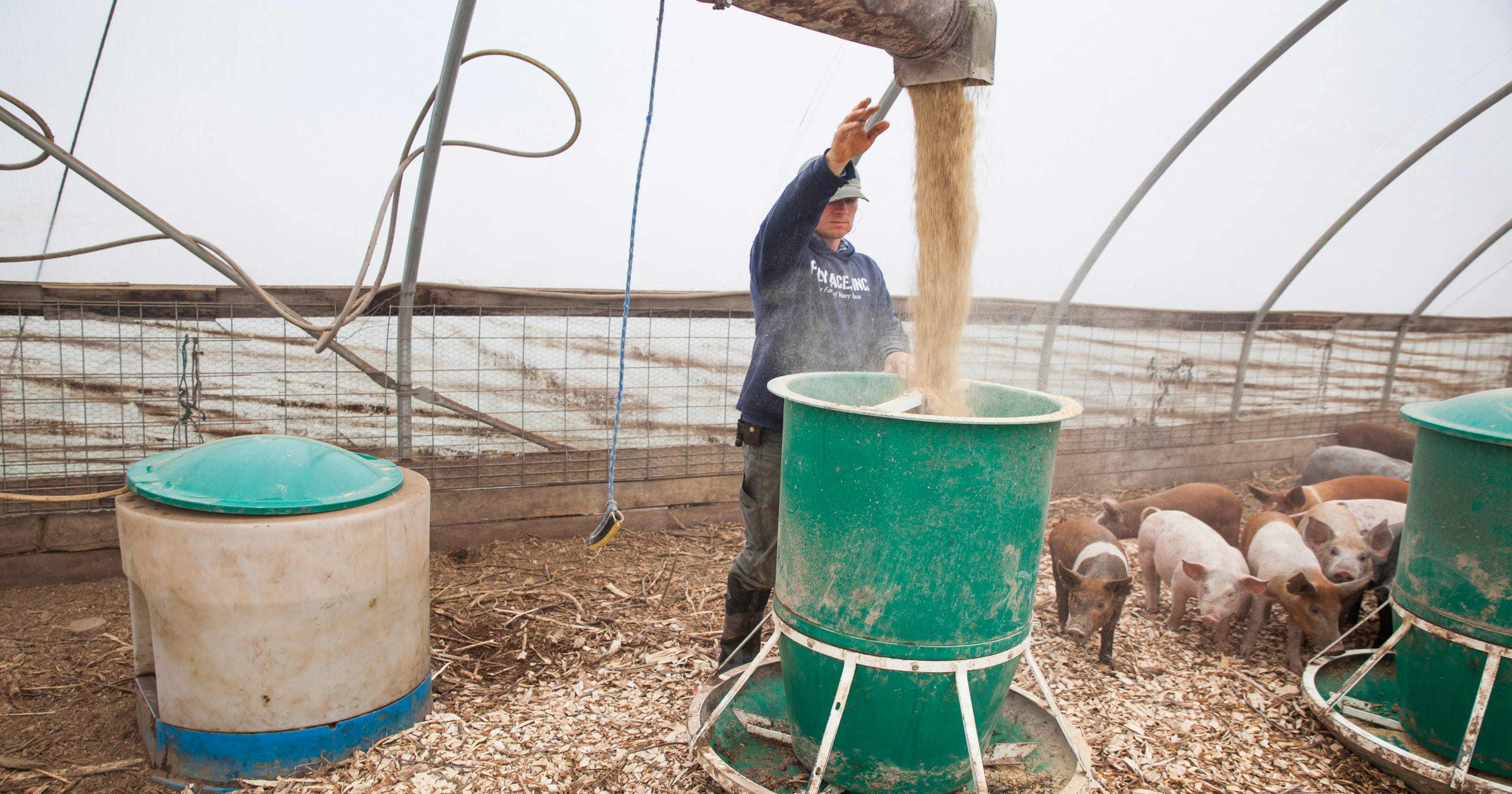 Farming techniques at Polyface Farms