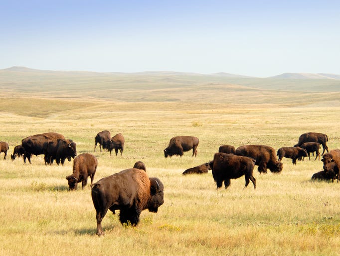 Photo tour: Beautiful South Dakota