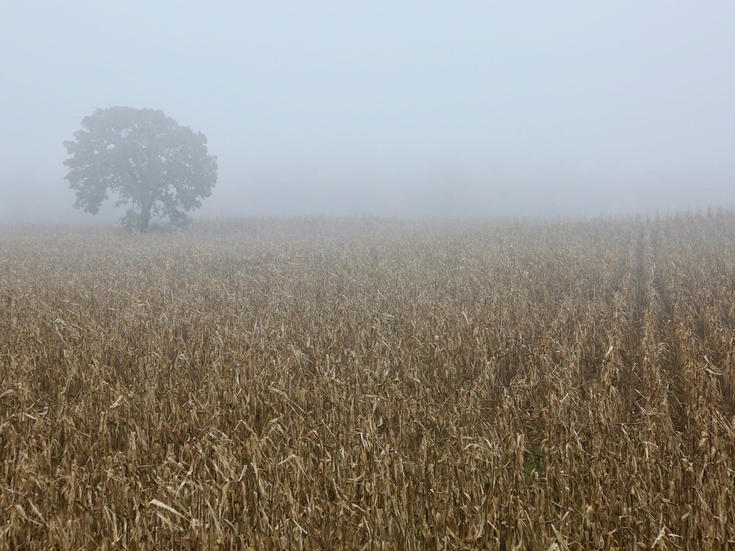 A slow road, a trip back in time on Wisconsin's Highway 12