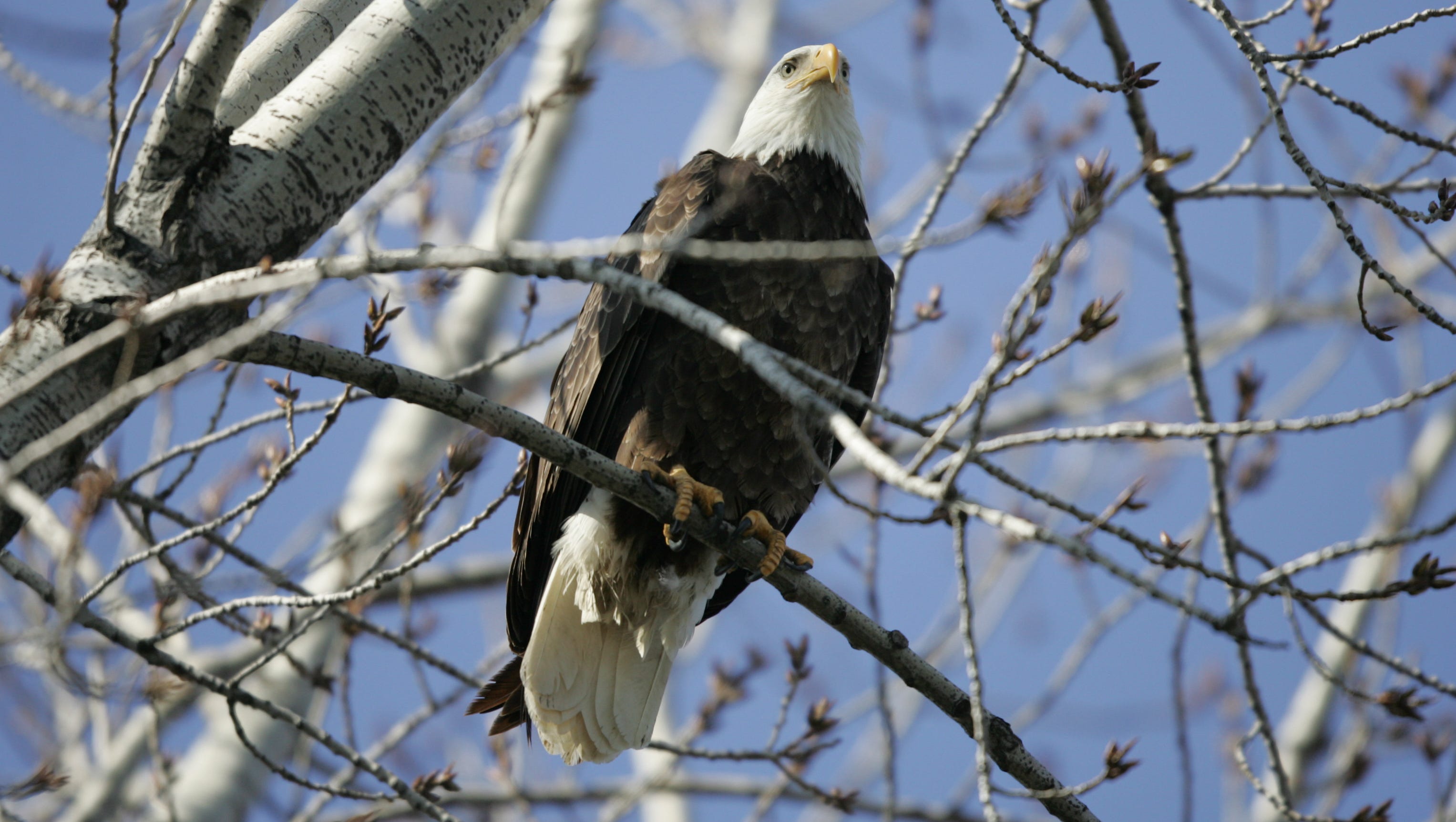 6 winter adventures to explore in Indiana