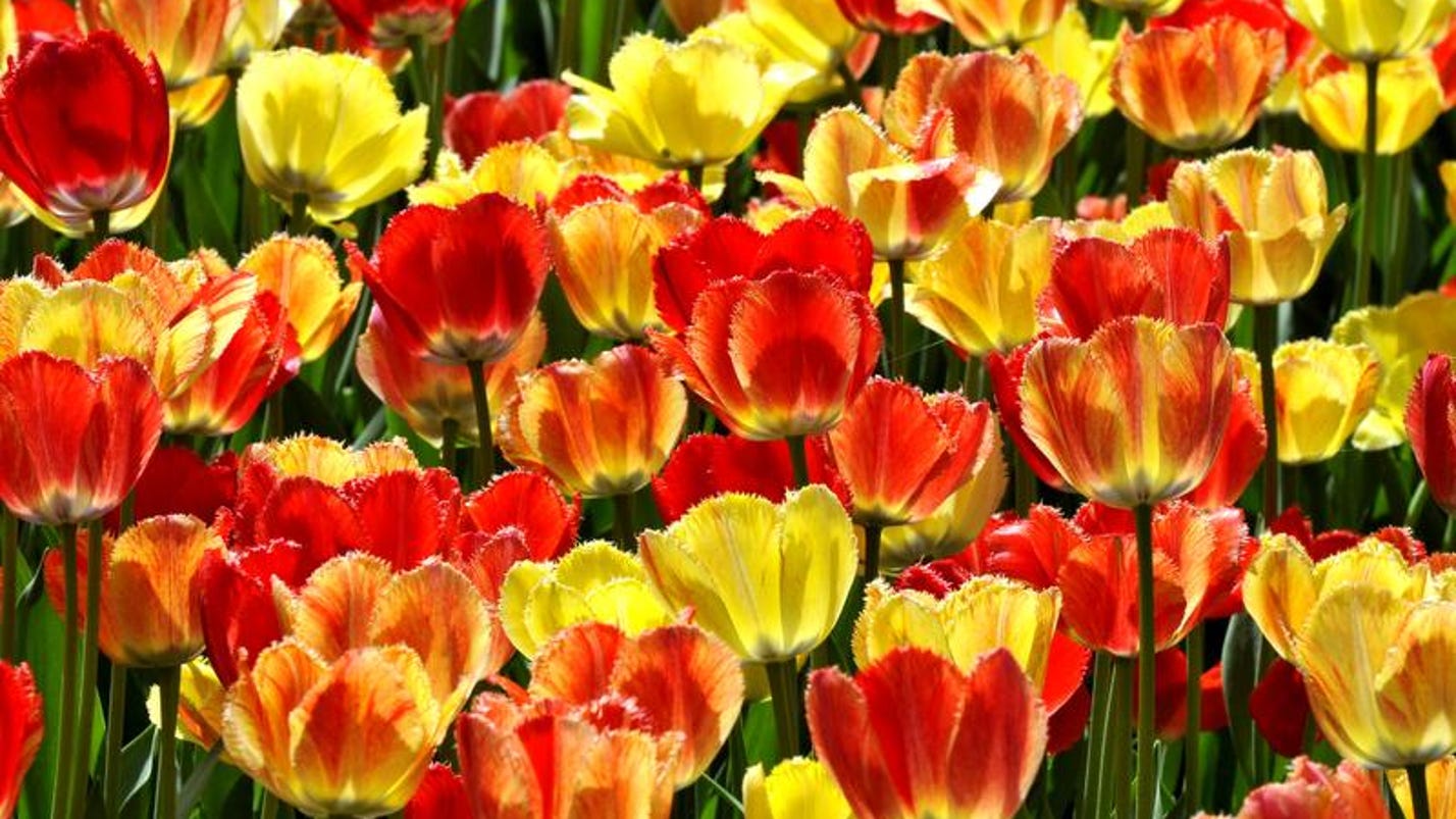 10 Things To Do In Michigan In May 10-things-to-do-in-michigan-in-may