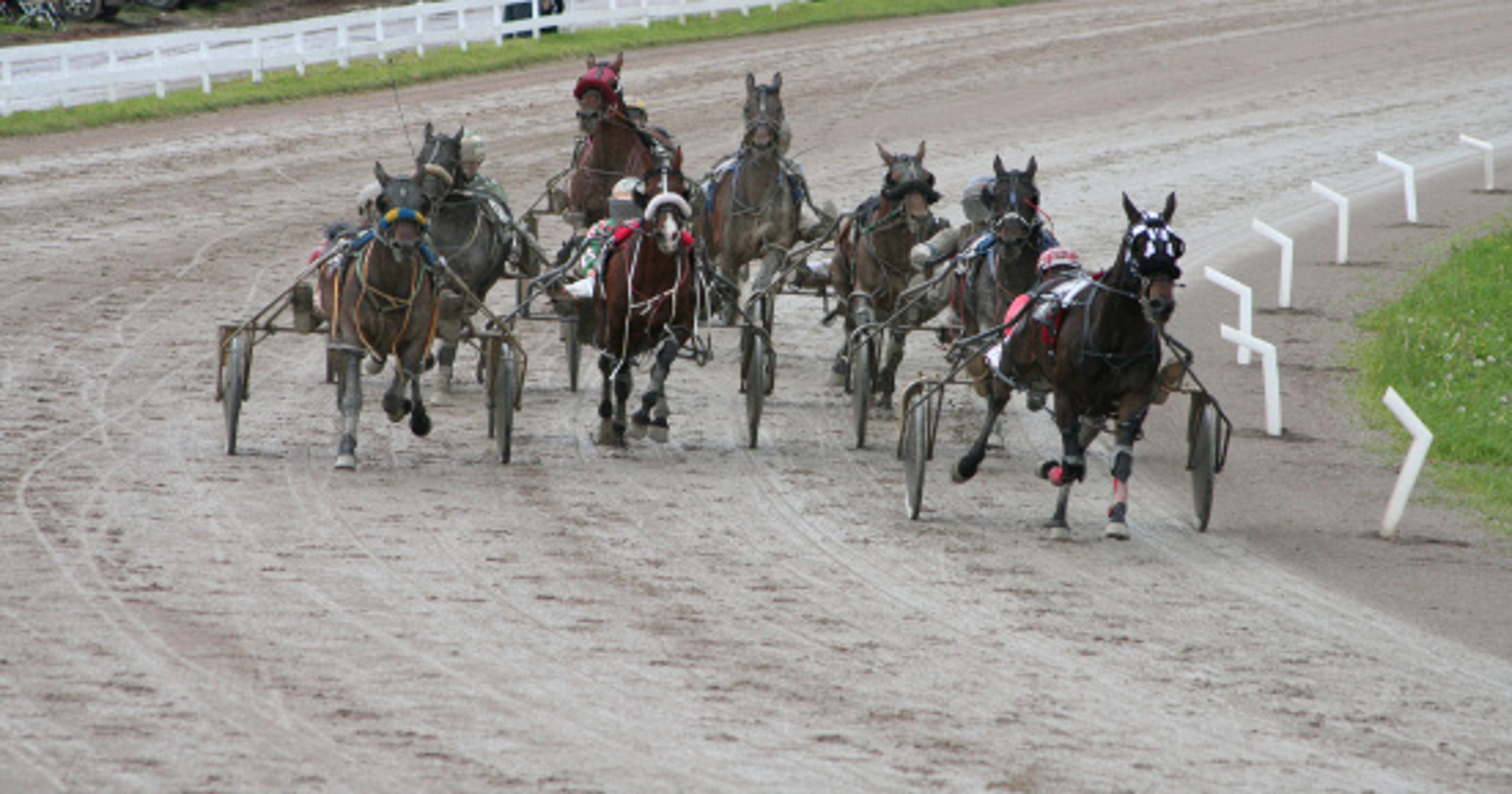 Thursday's Red Mile results