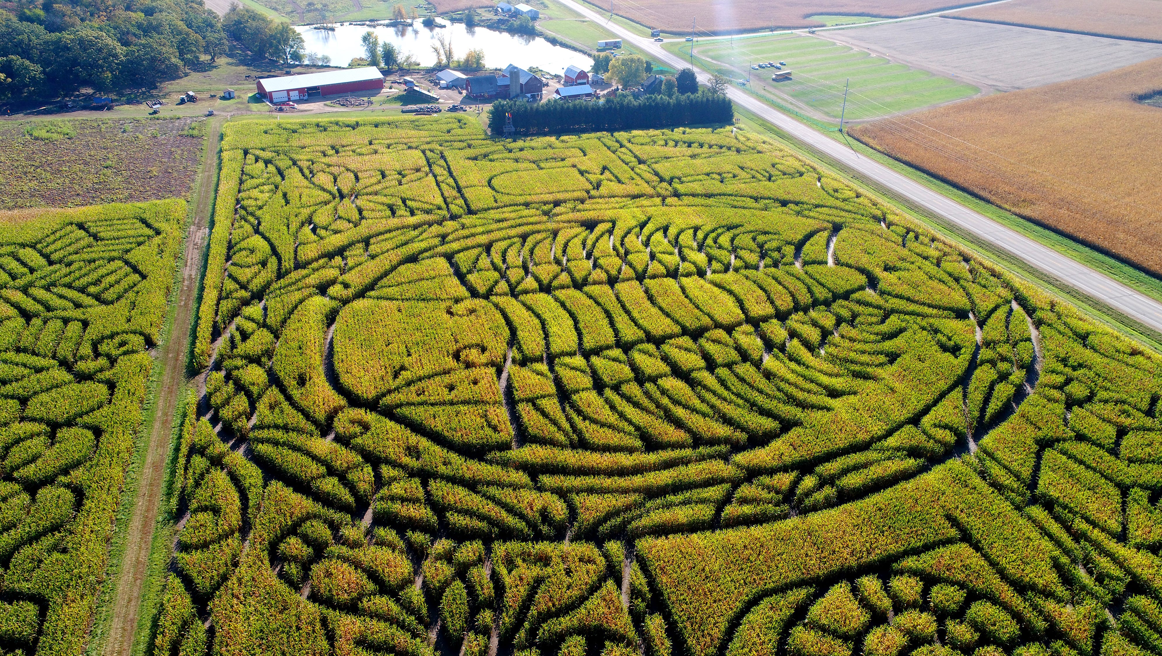 Corn mazes: Get lost at 10 Wisconsin seasonal sites