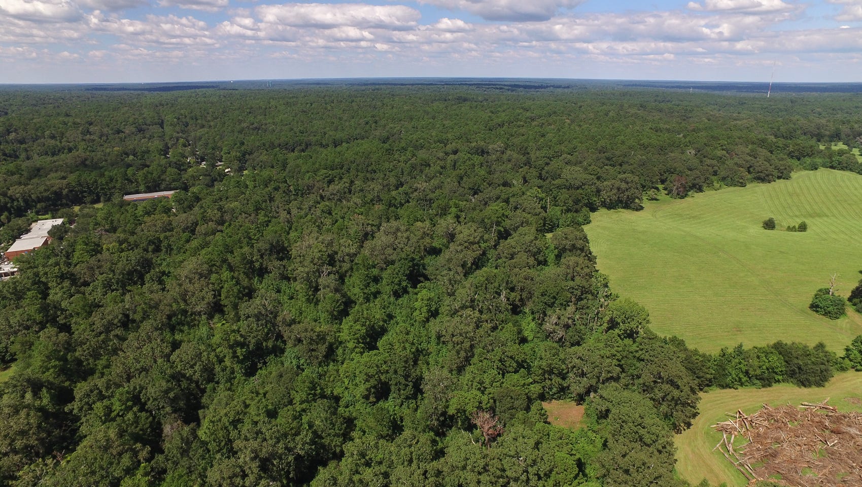 The Welaunee way: The future of development