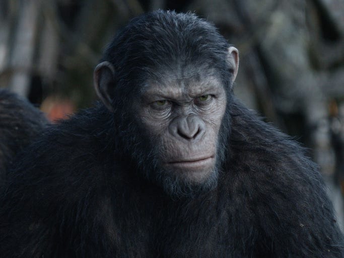 Guide to the apes of 'Dawn of the Planet of the Apes'