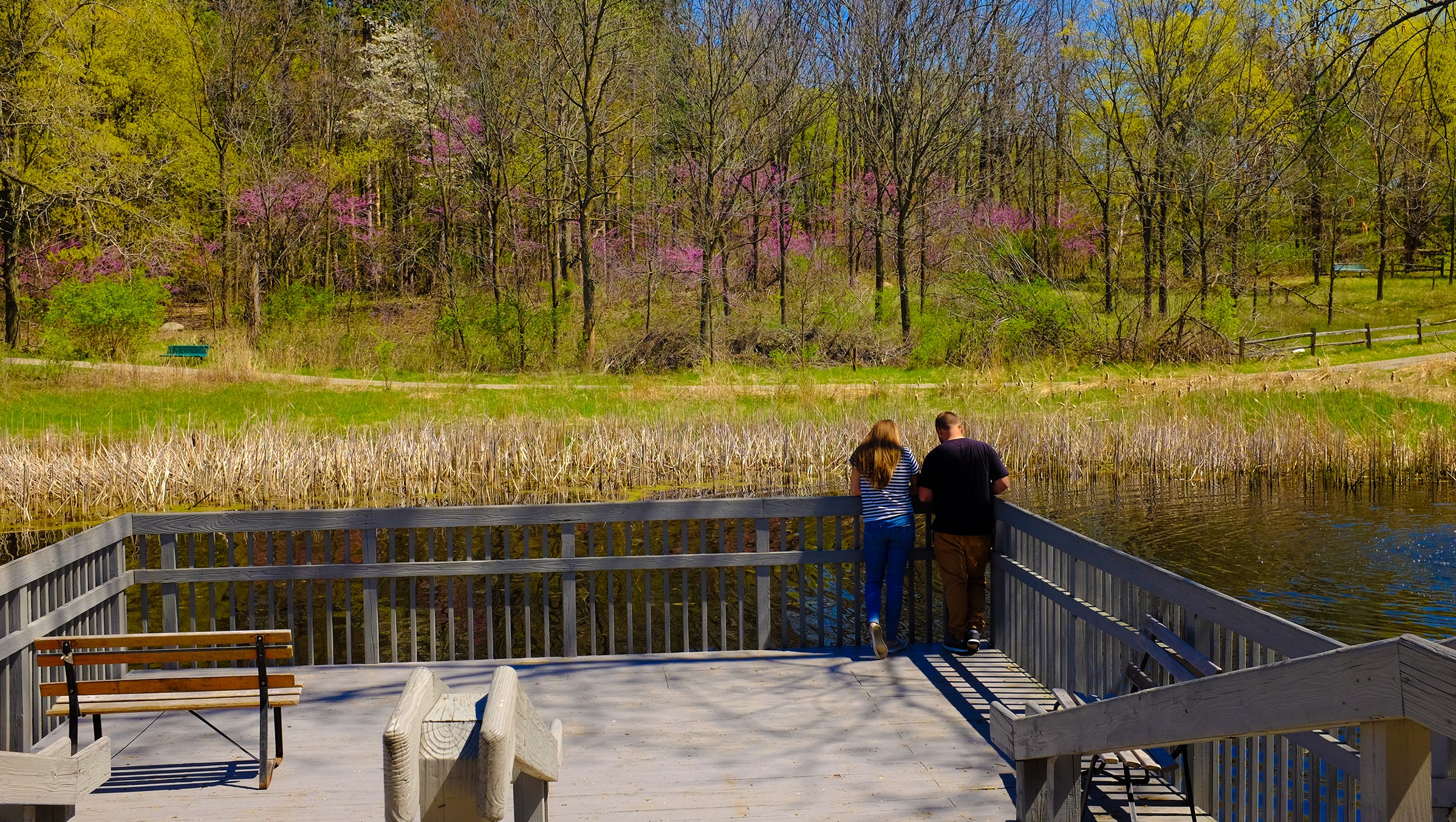Families! Scope out these awesome nature centers