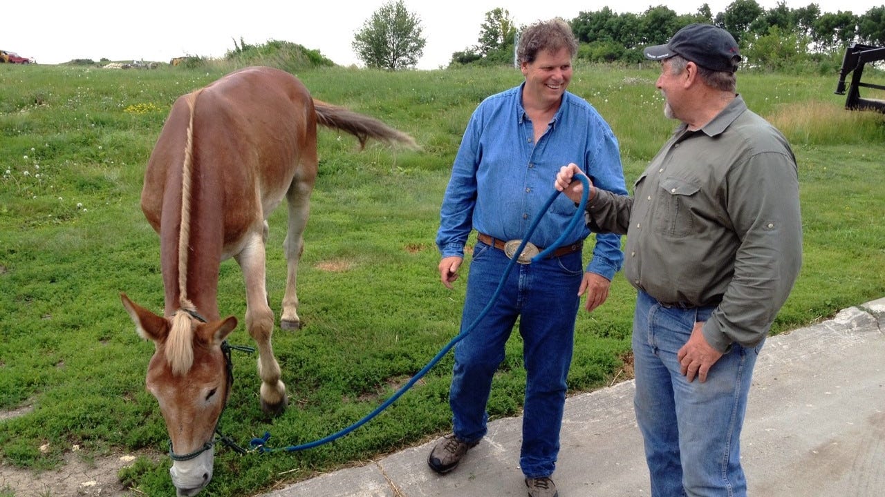 Man riding mule hundreds of miles to keep promise to granddaughter