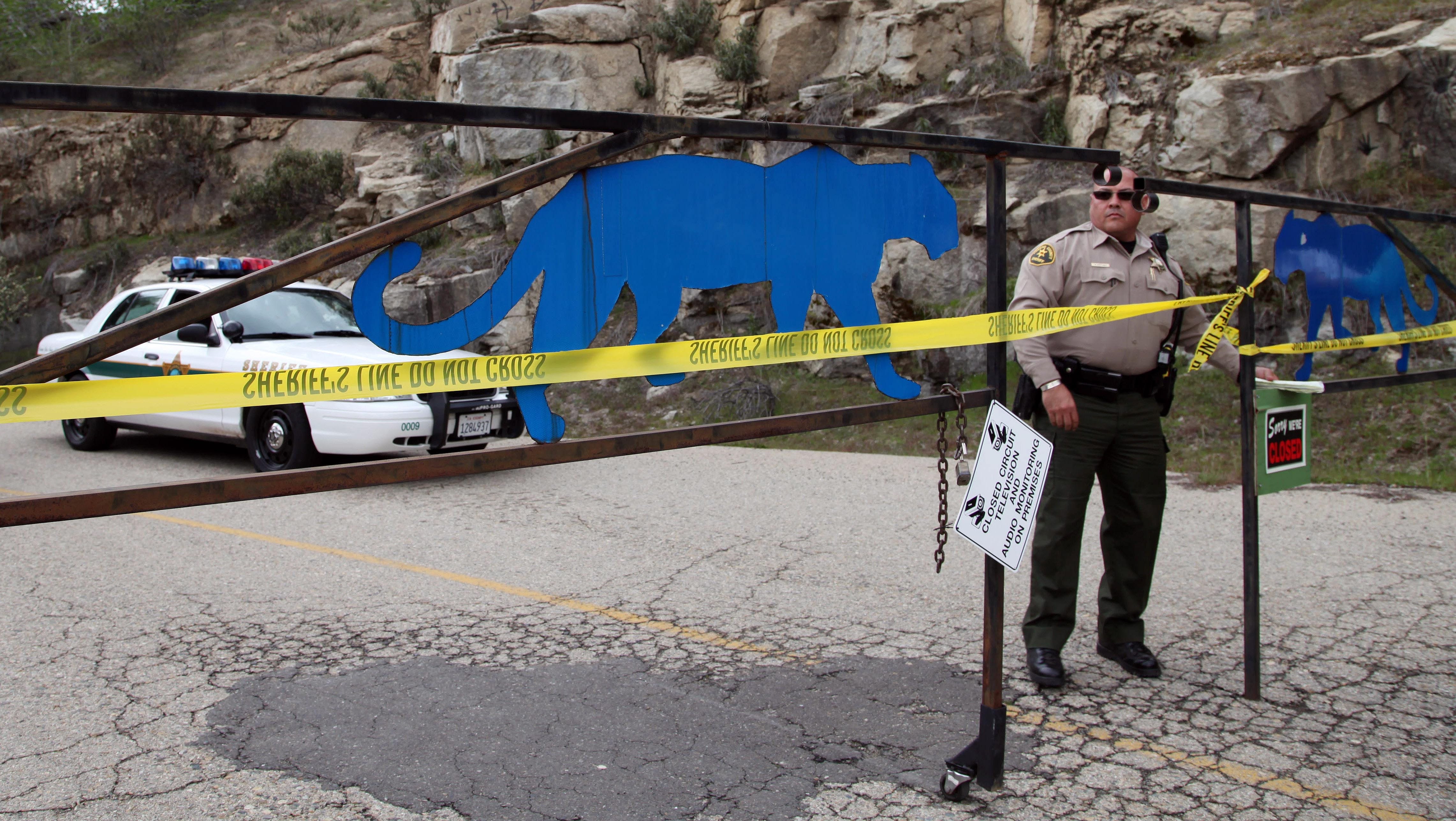 911 call captures panic after deadly cougar attack