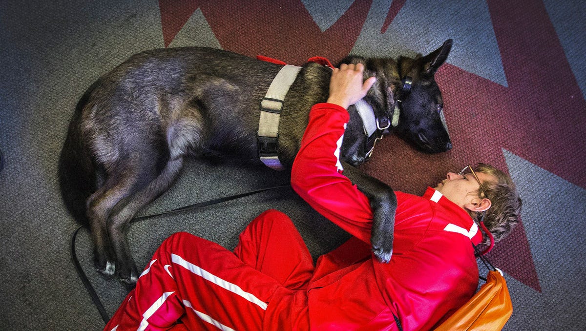 Photos of year: Tug at your heartstrings