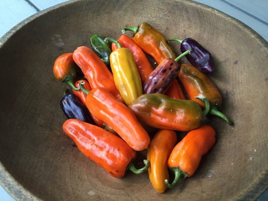 Heirloom seeds preserve taste of the past