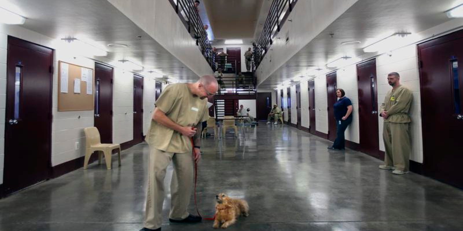 Prison INMATES HELP DOGS GETSECONDCHANCE
