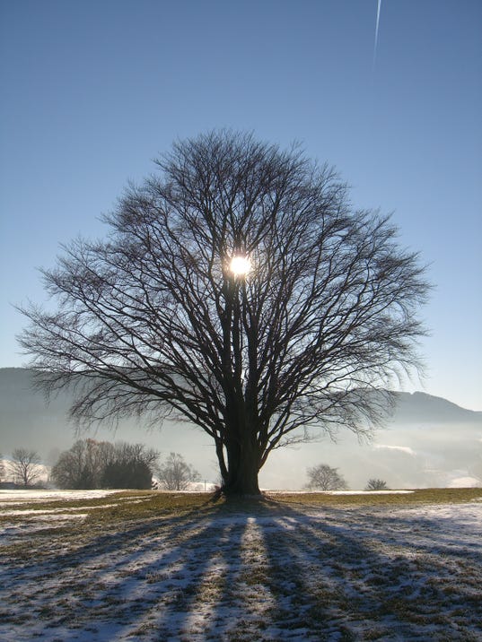 Winter solstice 2017: What time does it occur in metro Phoenix?