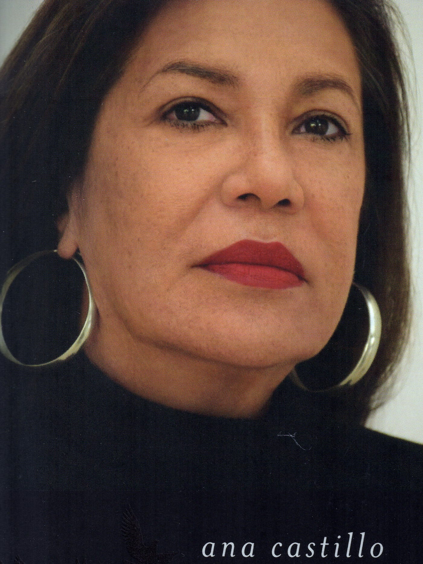 Interview with author Ana Castillo