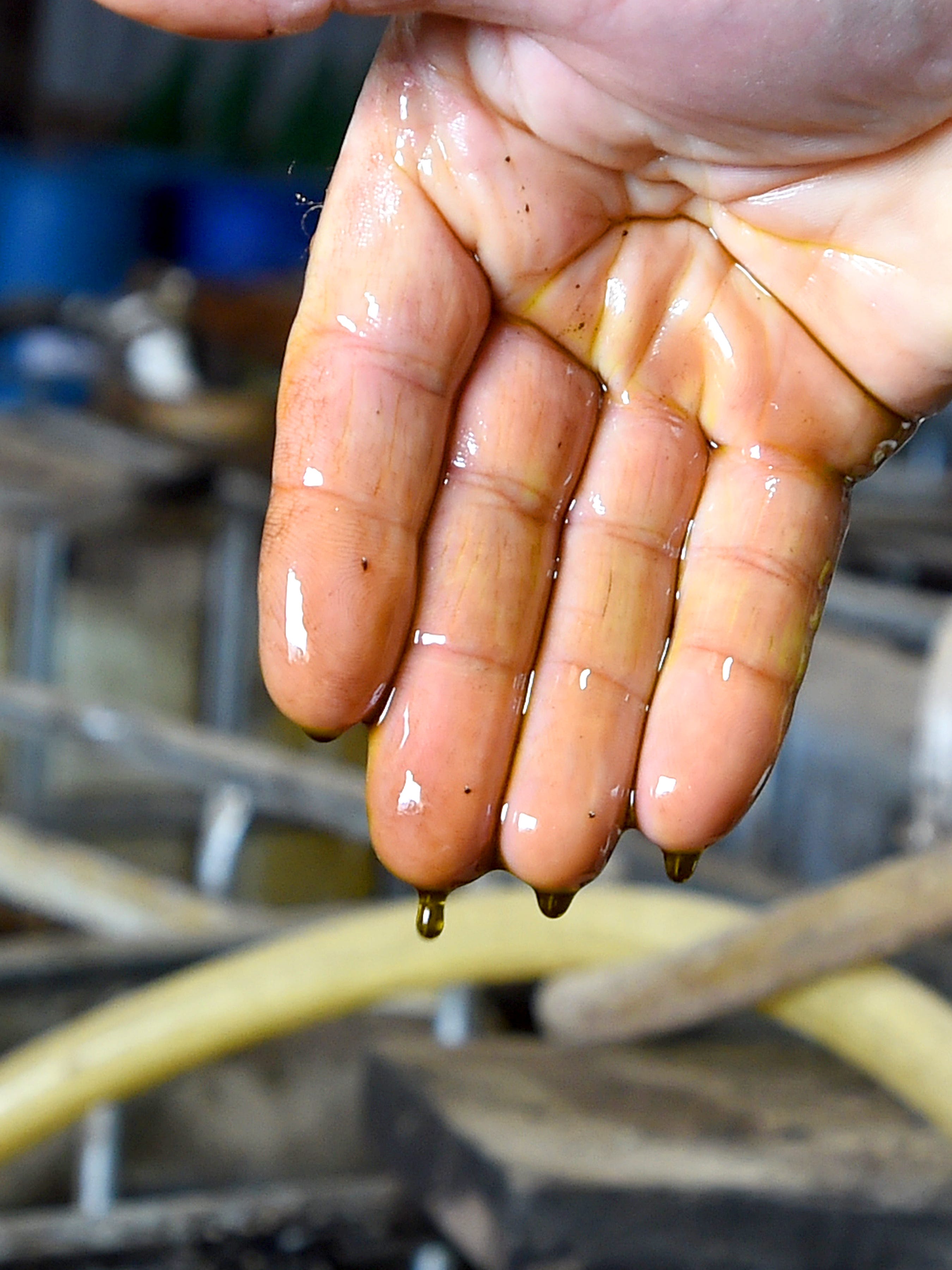 Hemp: Could it be the future of farming?