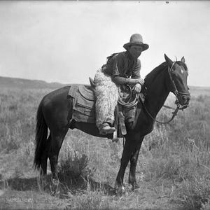 Keogh’s brave horse, Comanche