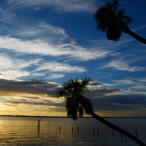 Septic tank pollution plagues Indian River Lagoon