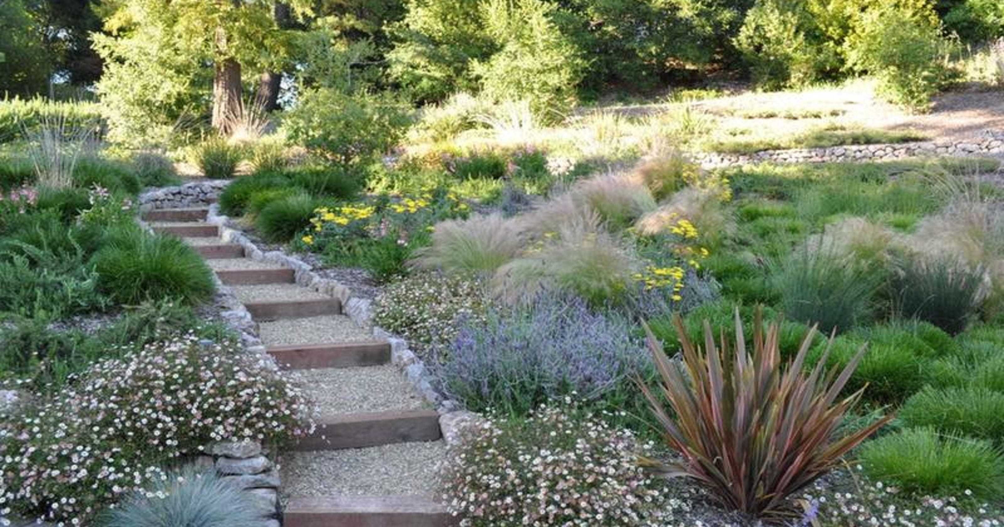 Lawn Alternatives lawn-alternatives