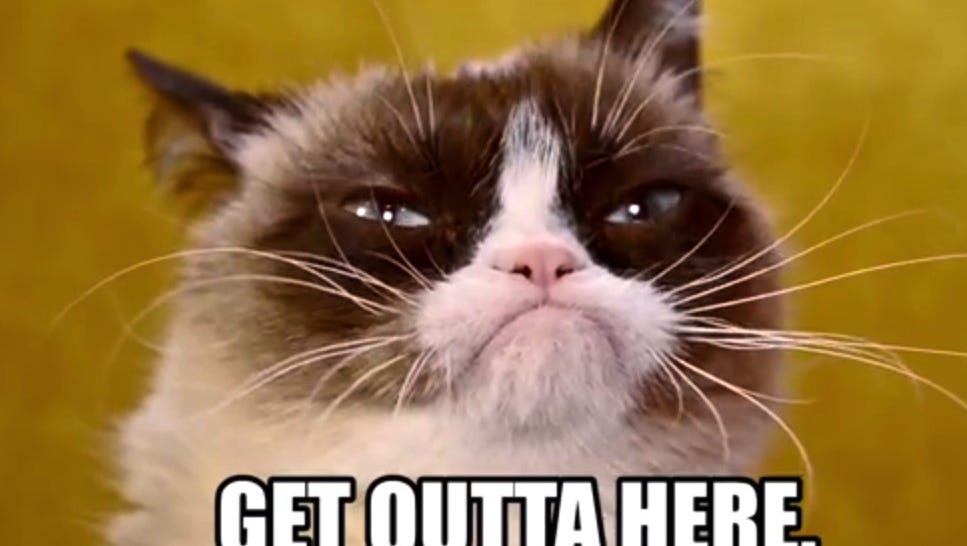 Win a chance to party in New York City with Grumpy Cat