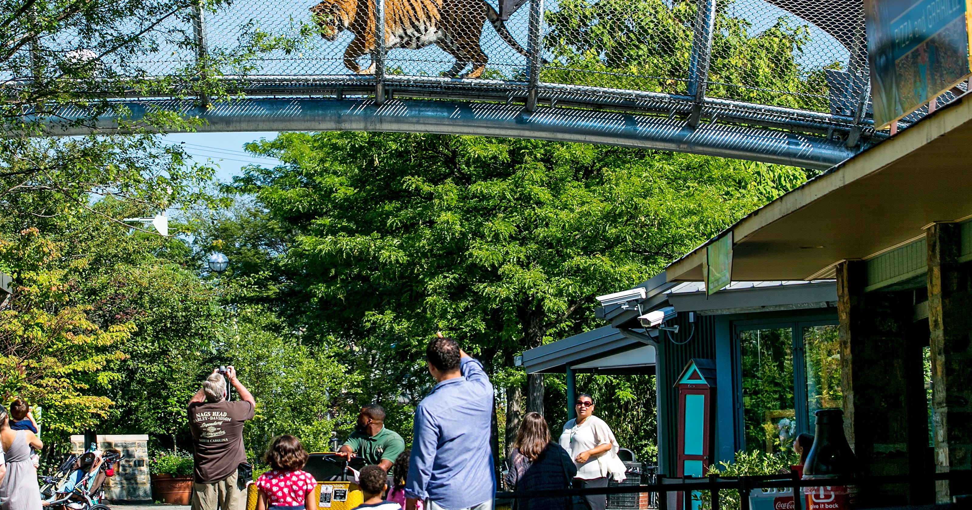 10Best Readers' Choice reveals Best Zoo Exhibit