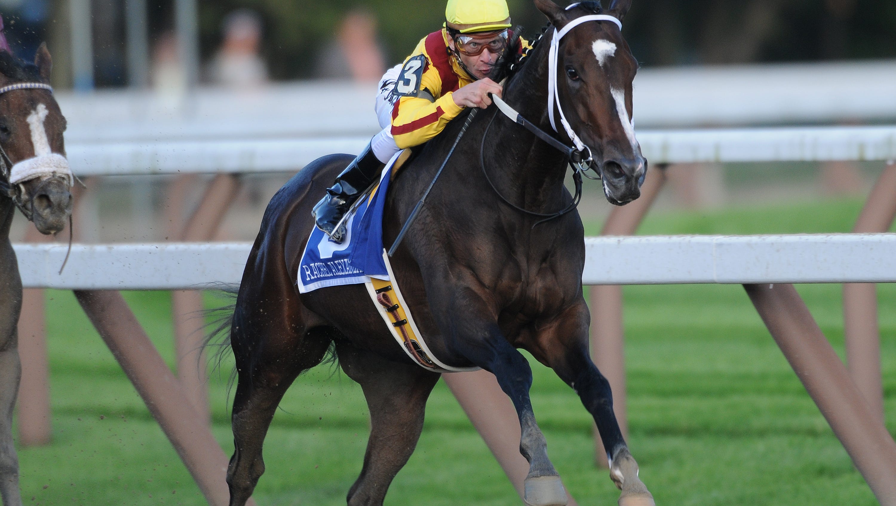 Rachel Alexandra's son Jess's Dream wins debut