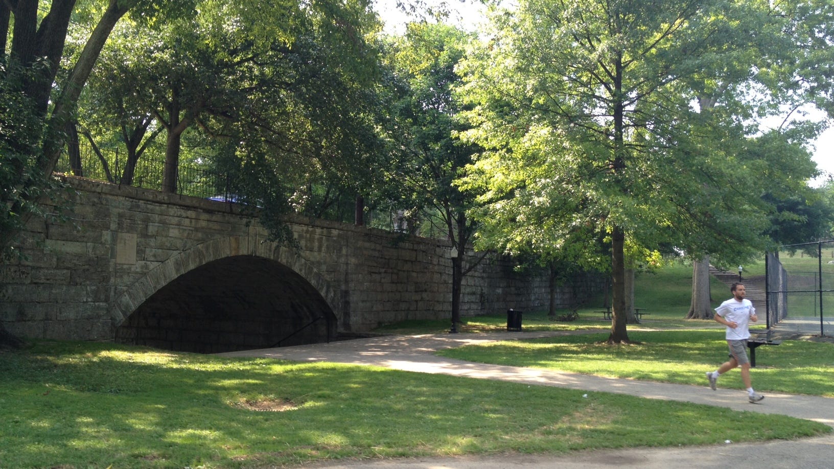 Trees could be removed from Tyler Park Bridge