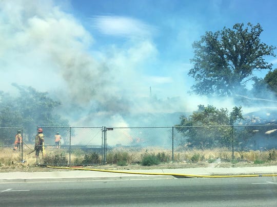 Cheatgrass is dangerous in Nevada: Here's what it is and why