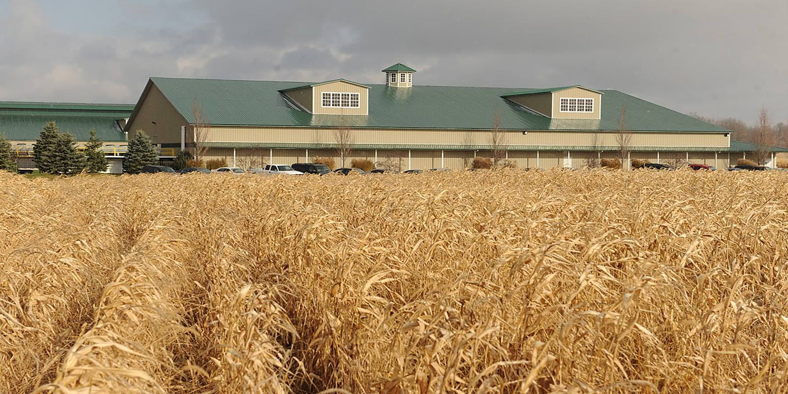 Herbruck's egg farm needs truck route approval