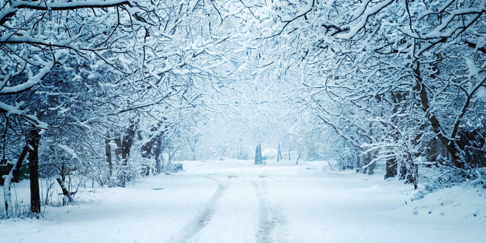 It's Ithaca, it's winter, it's cold