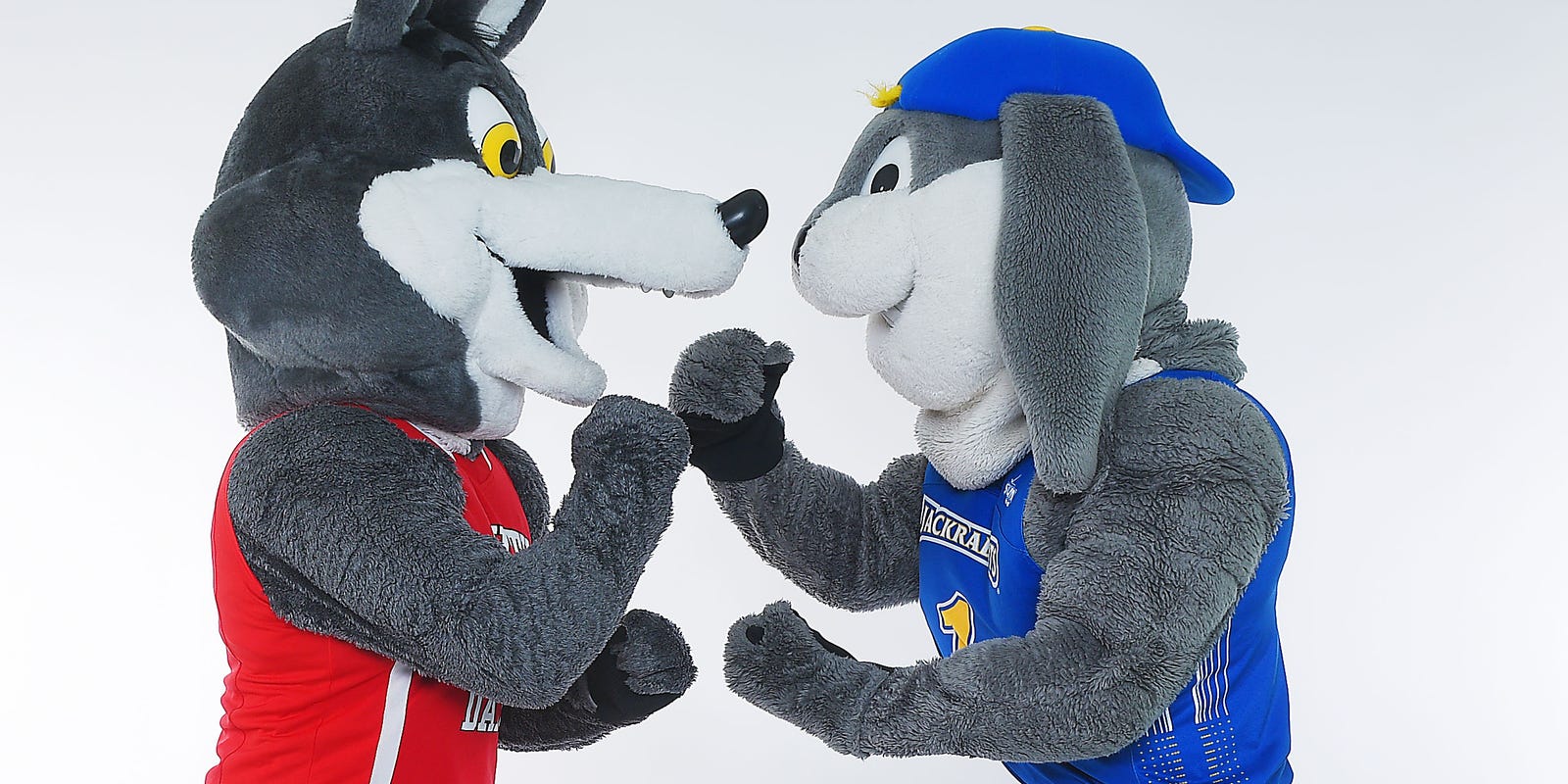 SDSU Jackrabbits and USD Coyotes: Which homecoming is best?